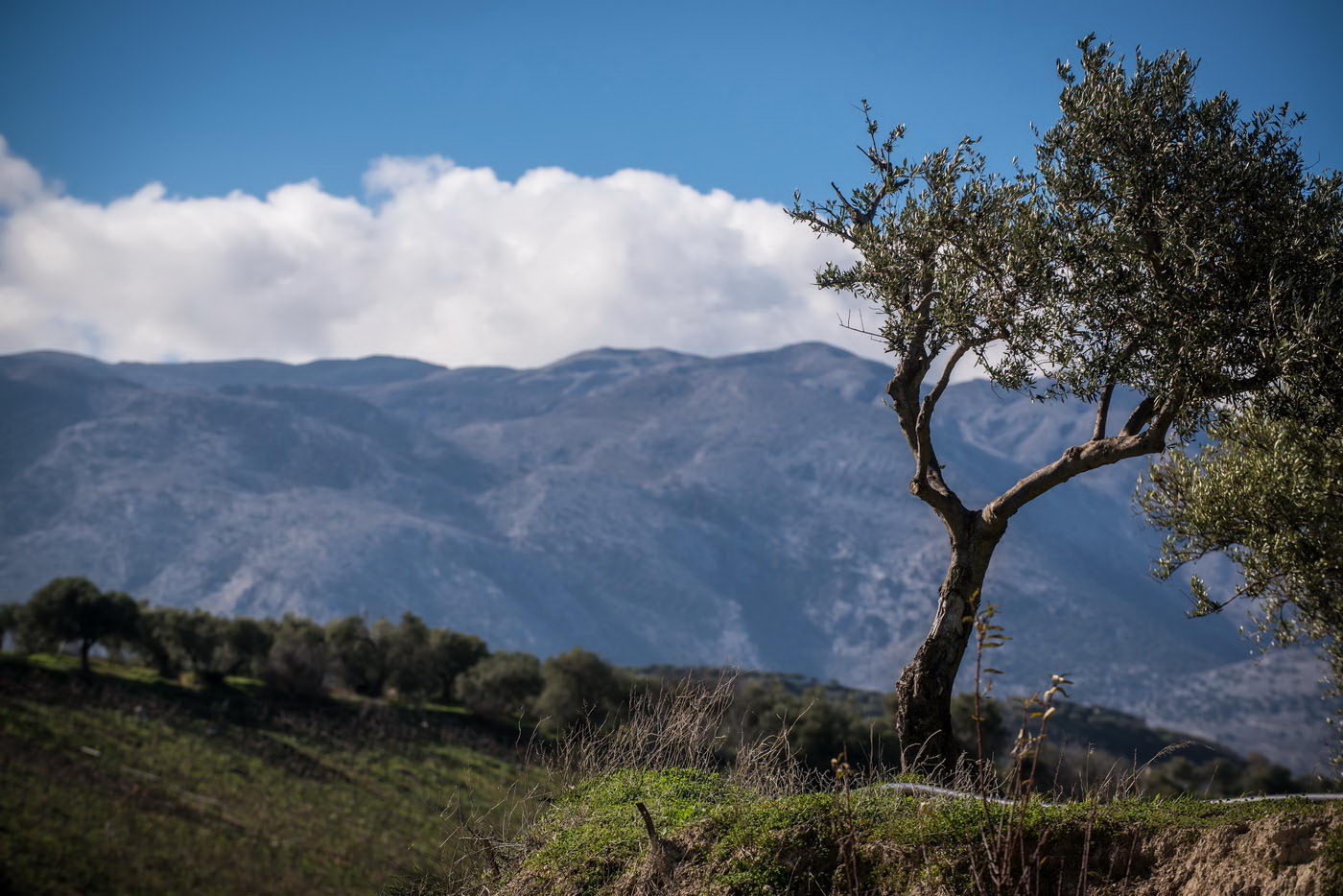 Ανάπτυξη Μικρών Γεωργικών Εκμεταλλεύσεων - Άροση Μελετητική ...